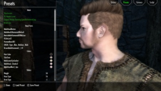 上古卷轴5：天际 Pixlpit-Racemenu预设 Mod 1.0 下载 | 3DM Mod站