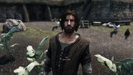 上古卷轴5：重置版 高多边形NPC大修-交替开始另一种生活（ASLAL） Mod 1.0 下载 | 3DM Mod站