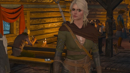 巫师3：狂猎 《巫师3：狂猎》【次世代4.0MOD】【希里玩家新服装】【兼容超强】【DLC形式】 Mod 1.0 下载 | 3DM Mod站